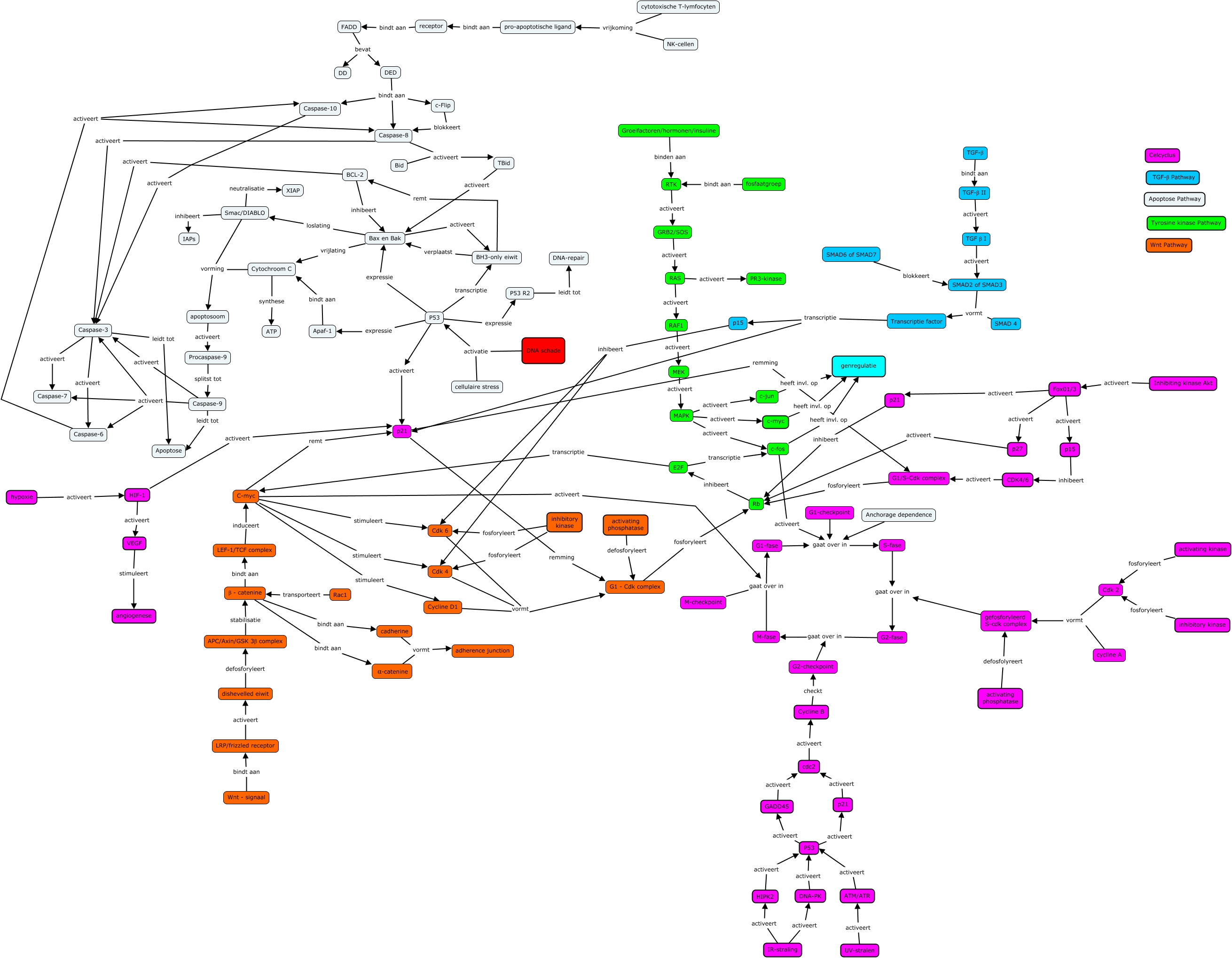 Cmap pathways VU TU03 - Wat zijn de verschillende pathways?